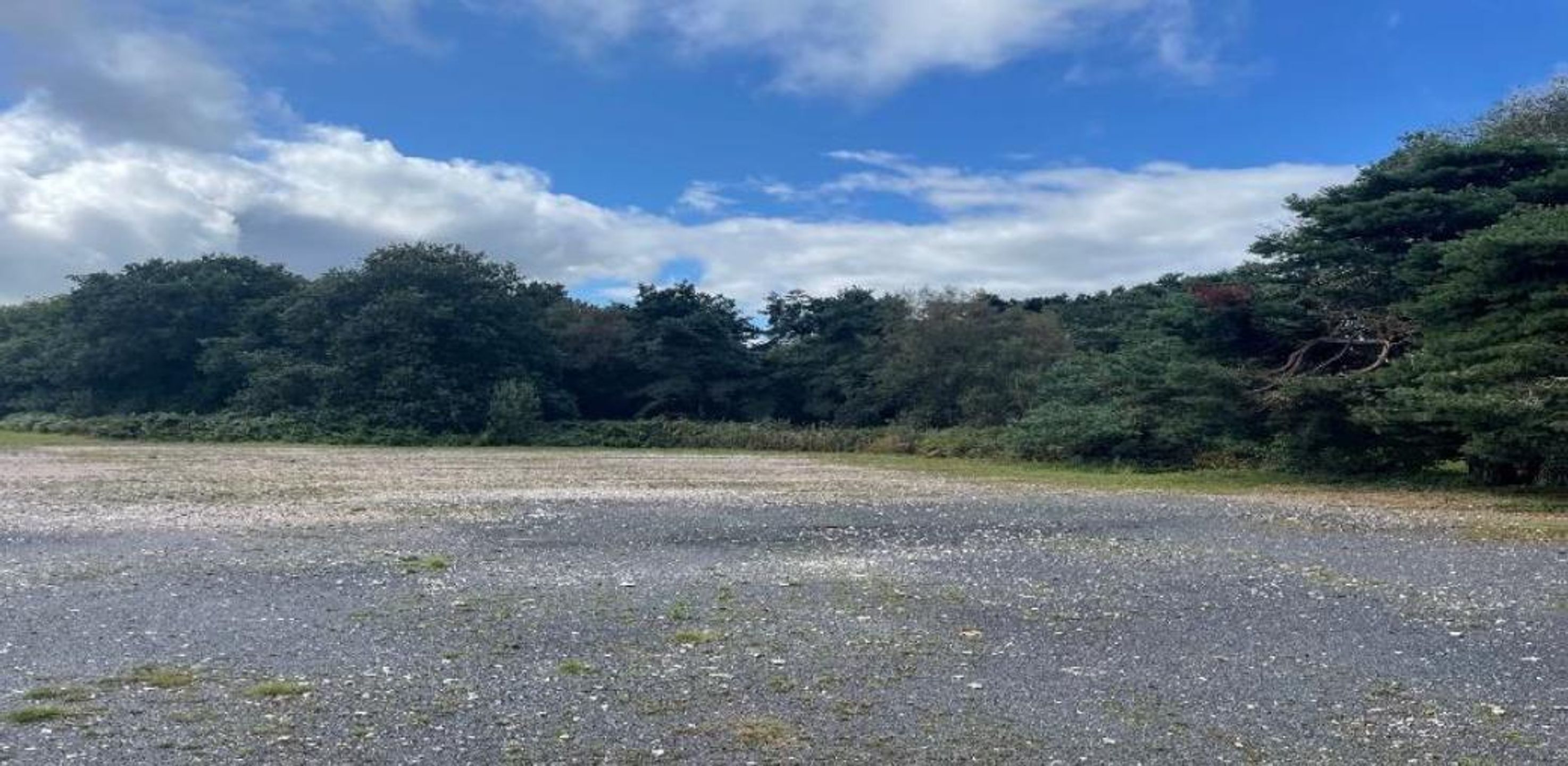 To Let: Exeter Racecourse, Kennford, Kennford, Exeter, Devon, EX6 7XS ...