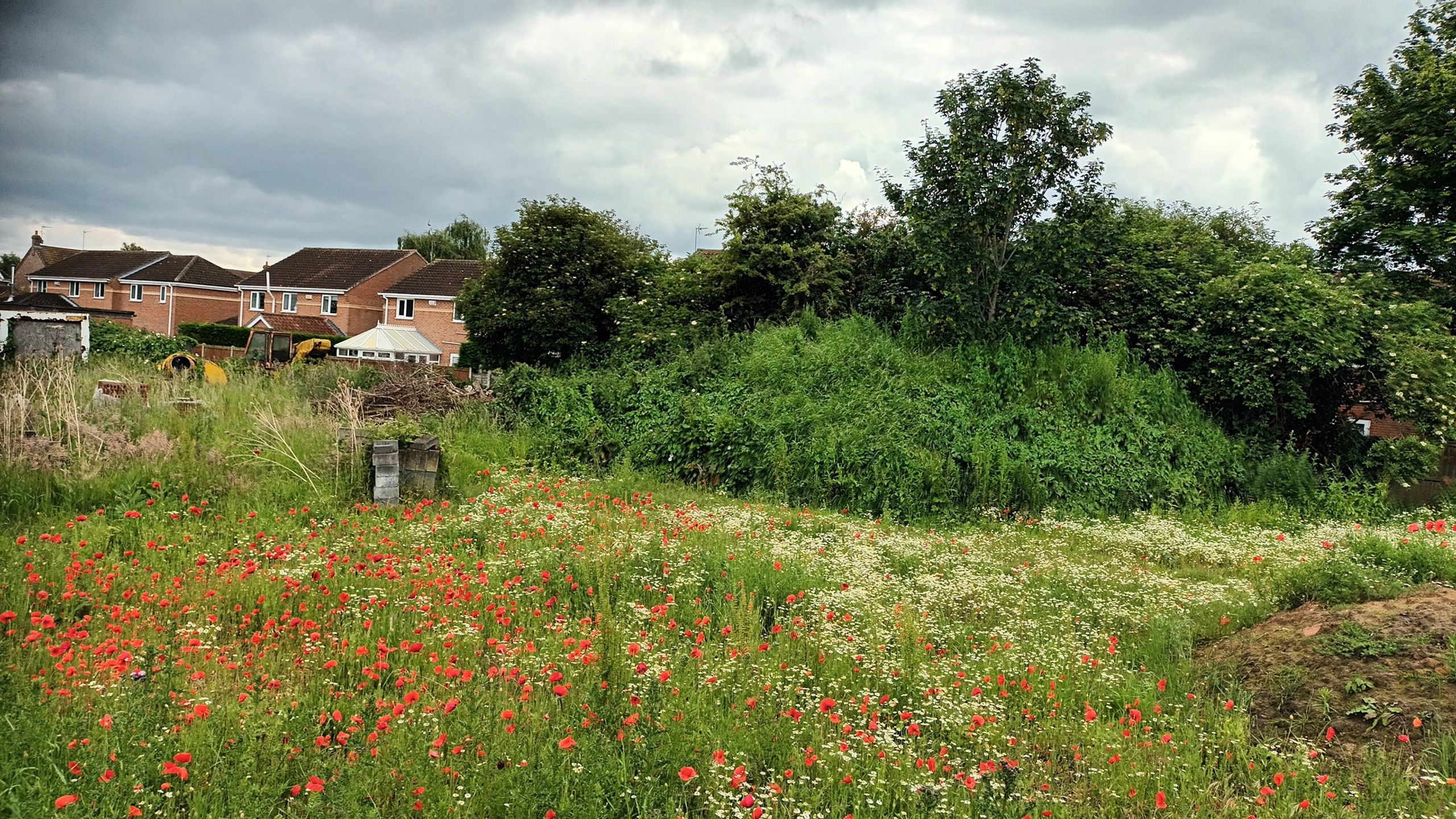 For Sale: Development Plots, Holmes Park, Eastrington, Goole, East ...